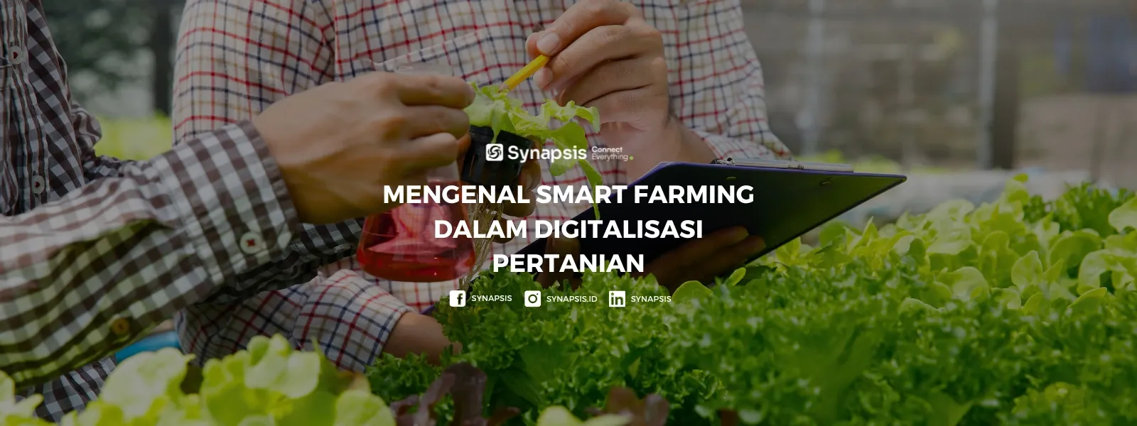 Mengenal Smart Farming dalam Digitalisasi Pertanian - Blog Synapsis IoT